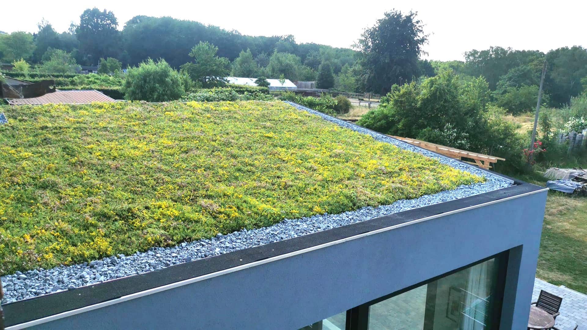 Végétaliser votre toiture pour bénéficier de nombreux atouts - Ecobuild